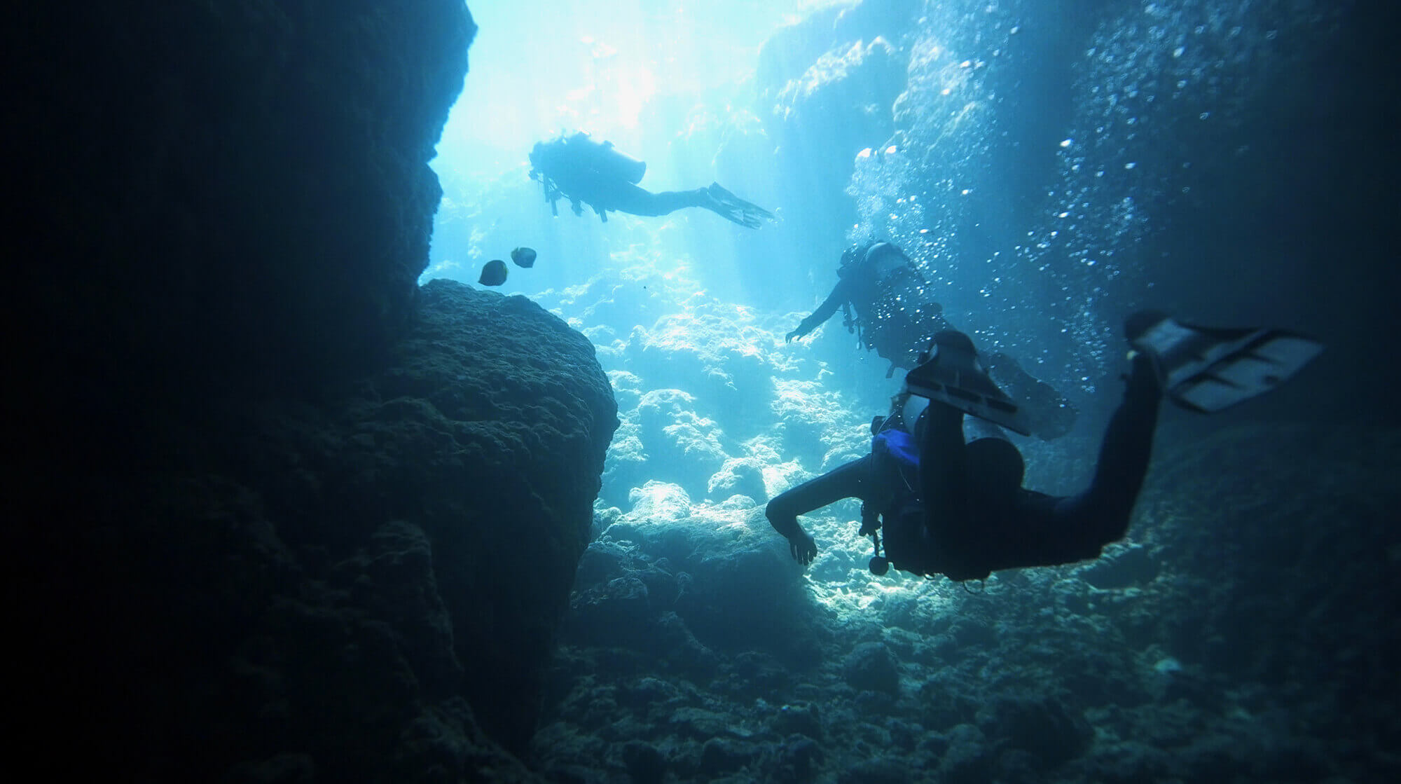 The YIS Student Experience