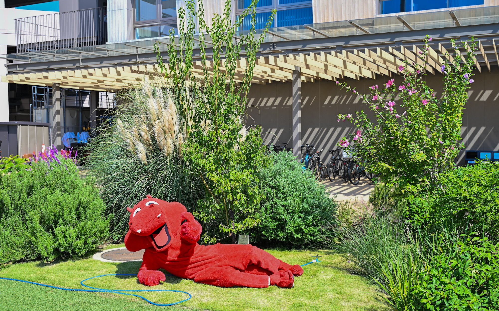 BEING GREEN AT YIS: A LIVING STORY OF BELONGING - Yokohama ...